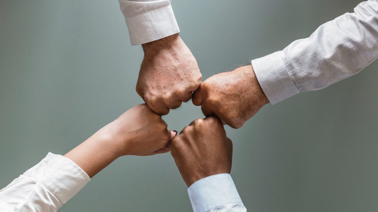 Veryfi launches Veryfi Insights | MarTech Cube